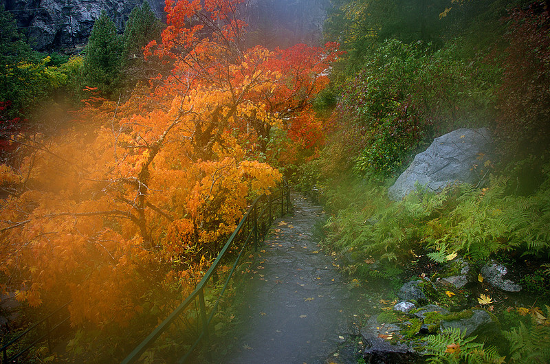 Lisa Mize Photography | Where to See Autumn Colors in Washington State